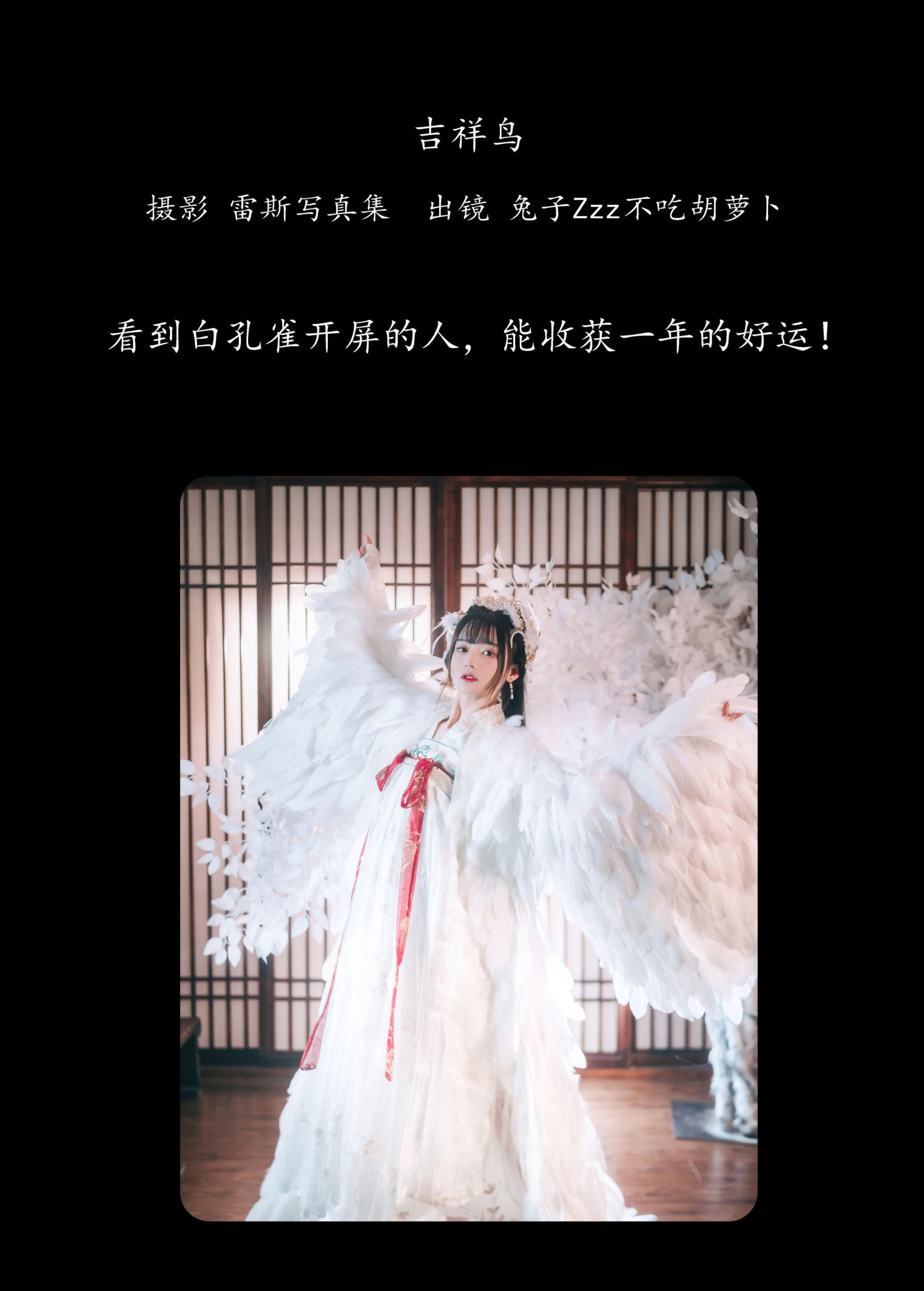 兔子Zzz不吃胡萝卜 – 《吉祥鸟》[22P] - 图吧